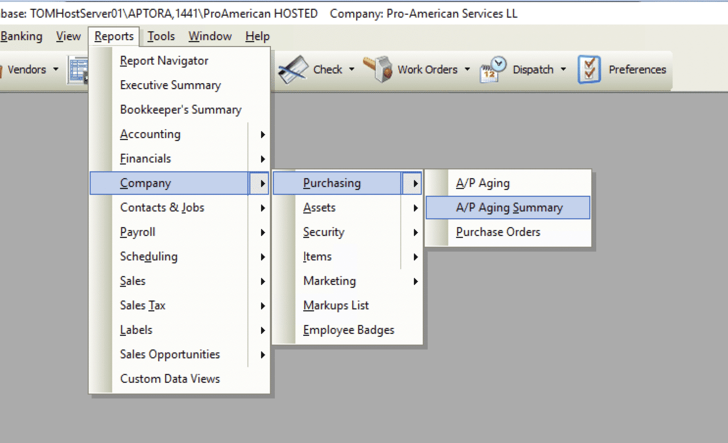 A/P Aging Summary Report - Aptora
